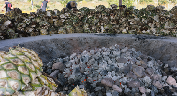 OUR MEZCAL PROCESS
